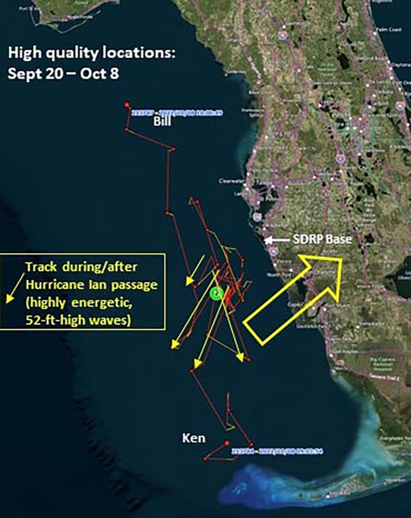 Tracking Offshore Dolphins During Hurricane Ian - Sarasota Dolphin ...